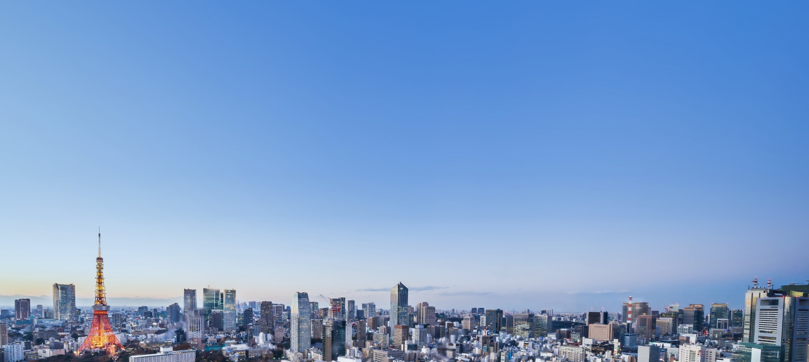 Home [www.morganstanley.co.jp]