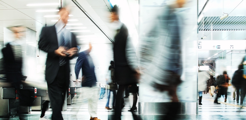 Experienced Professionals